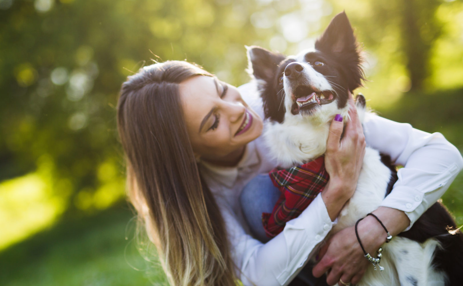 CADET® BRAF and BRAF-PLUS now available exclusively through Antech Diagnostics - Antech ...