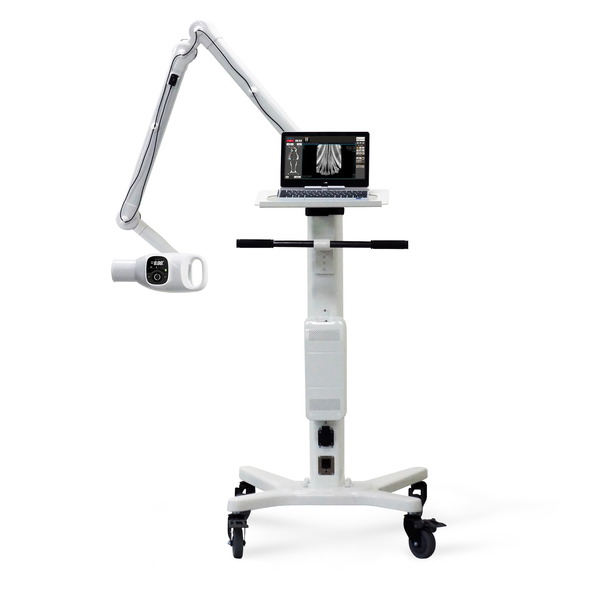 Establish Your New Veterinary Practice - Antech Diagnostics