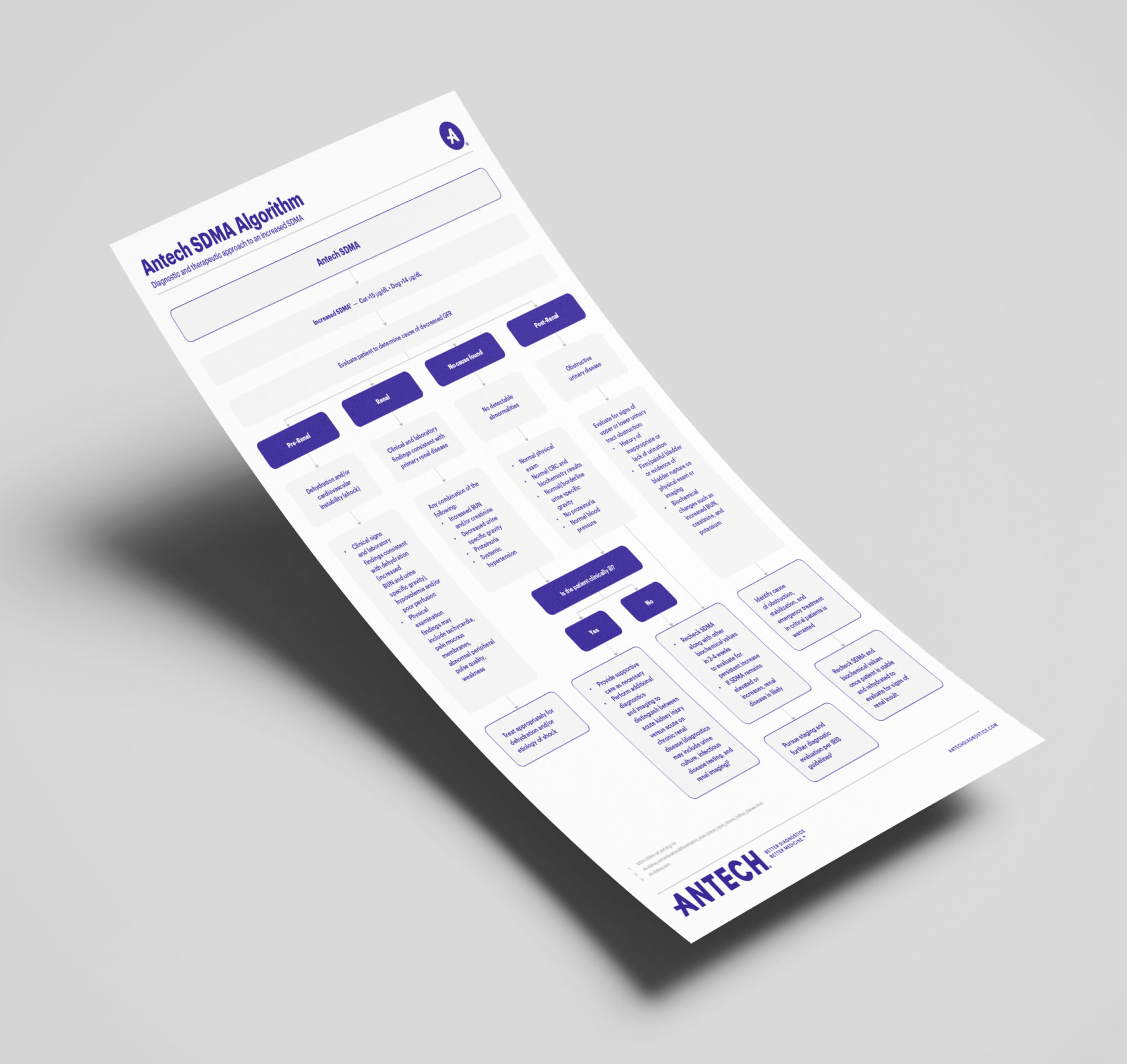 Antech GLP Division - Antech Diagnostics