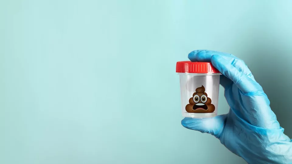 Success - Antech Diagnostics UK